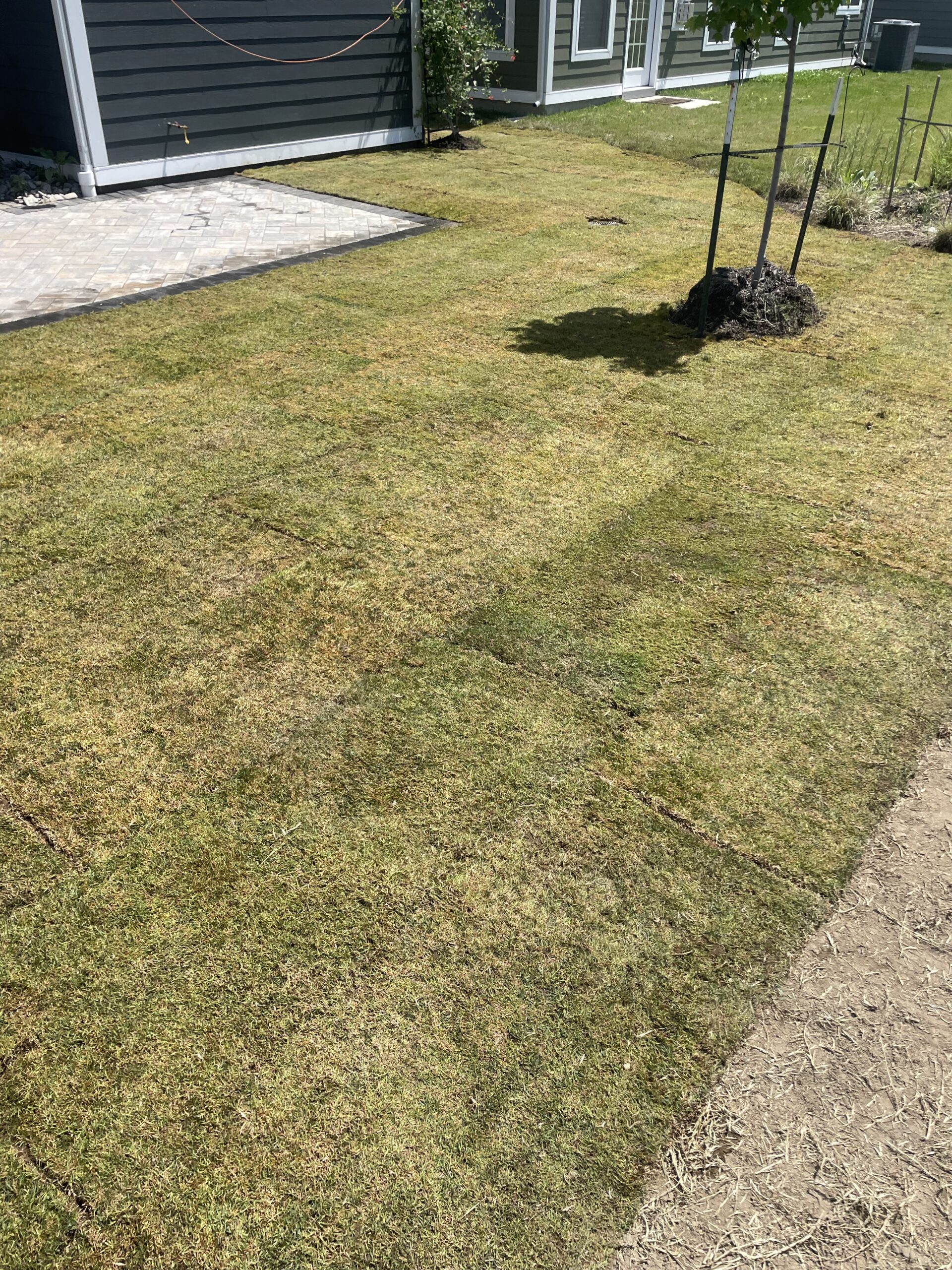 Sod Install – Heritage OCS
